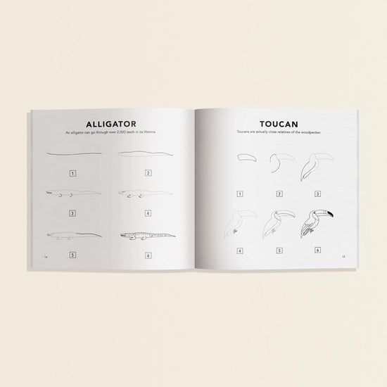 How to Draw All The Animals for Kids | Hopscotch Children's Store