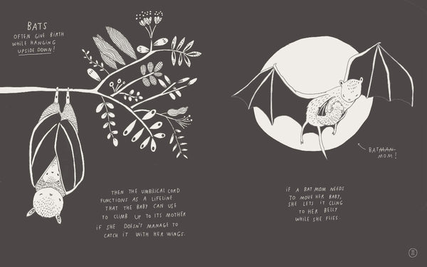 Amazing Facts About Baby Animals | Hopscotch Children's Store