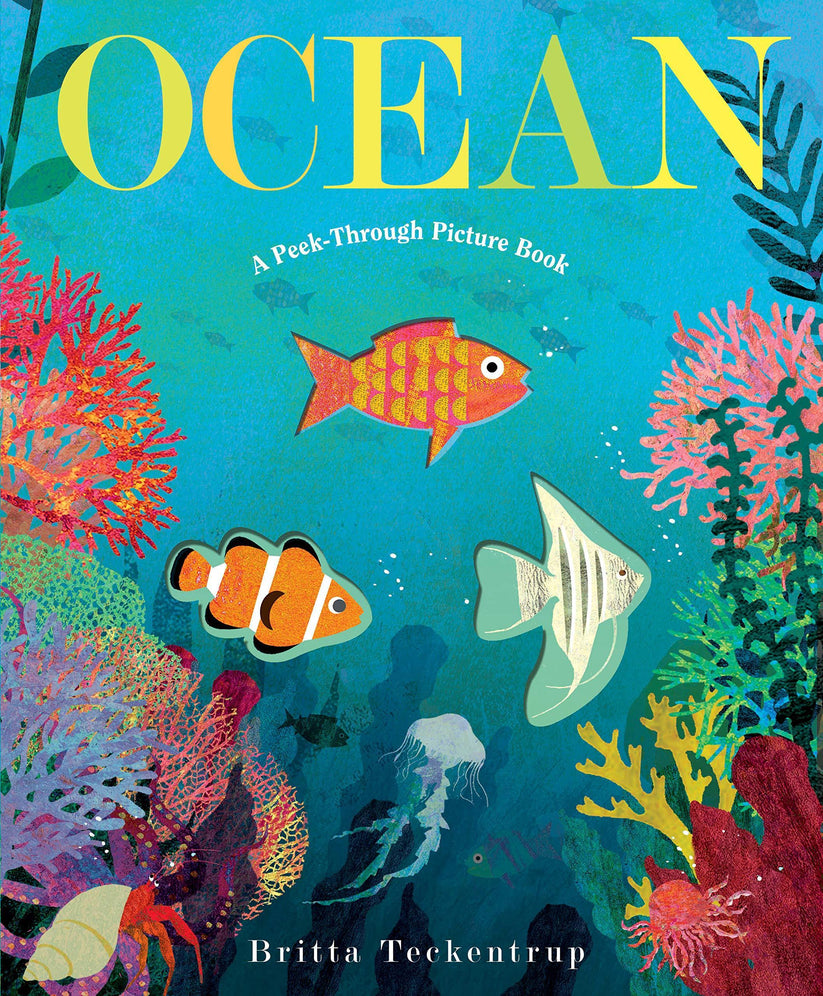 Ocean: A Peek-Through Picture Book | Hopscotch Children's Store