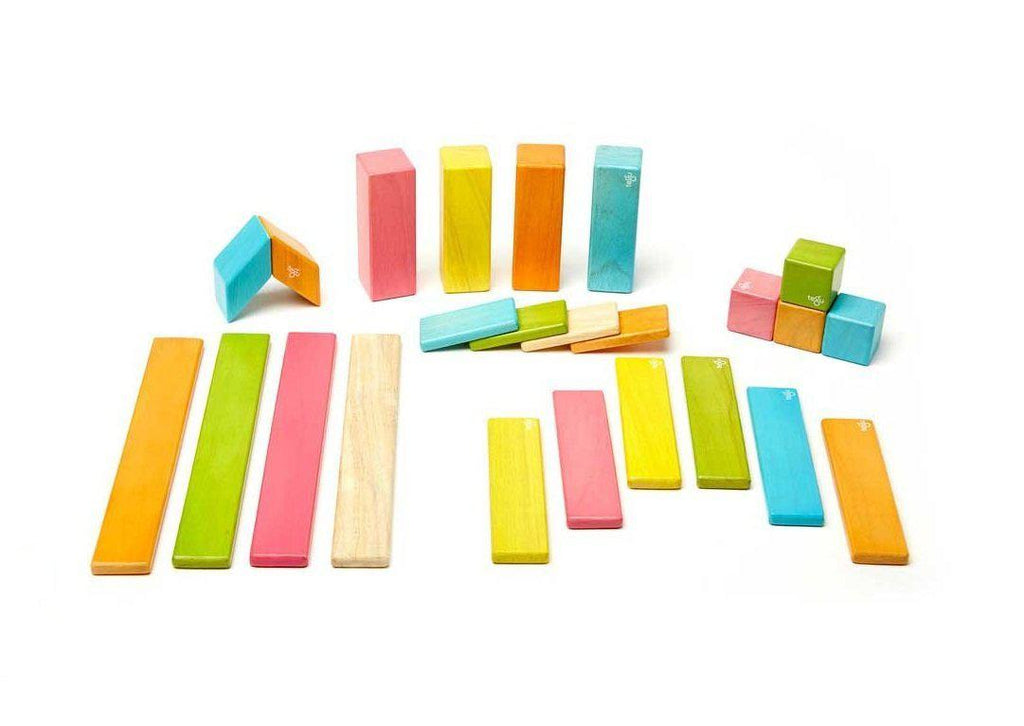 Tegu 24-Piece Magnetic Wooden Block Set | Hopscotch Children's Store